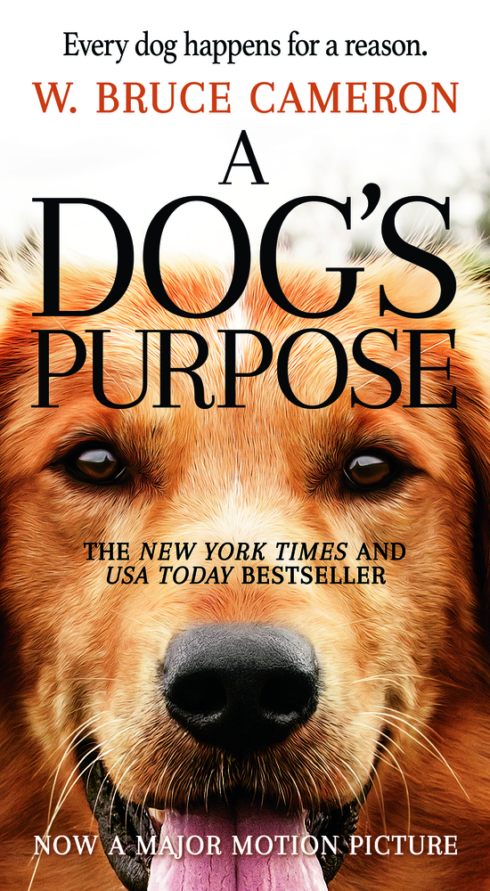 A Dog s Purpose W Bruce Cameron Macmillan A Dog s Purpose W Bruce Cameron Macmillan