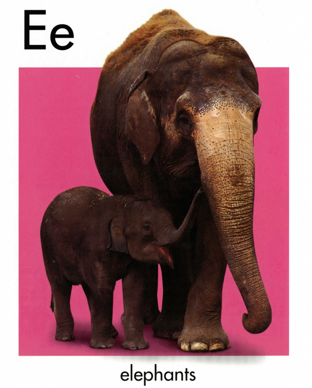 Happy Baby: ABC | Roger Priddy | Macmillan