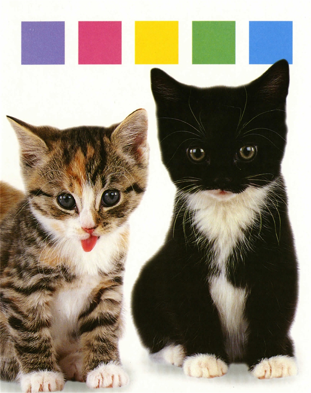 Happy Baby: 123 Bilingual