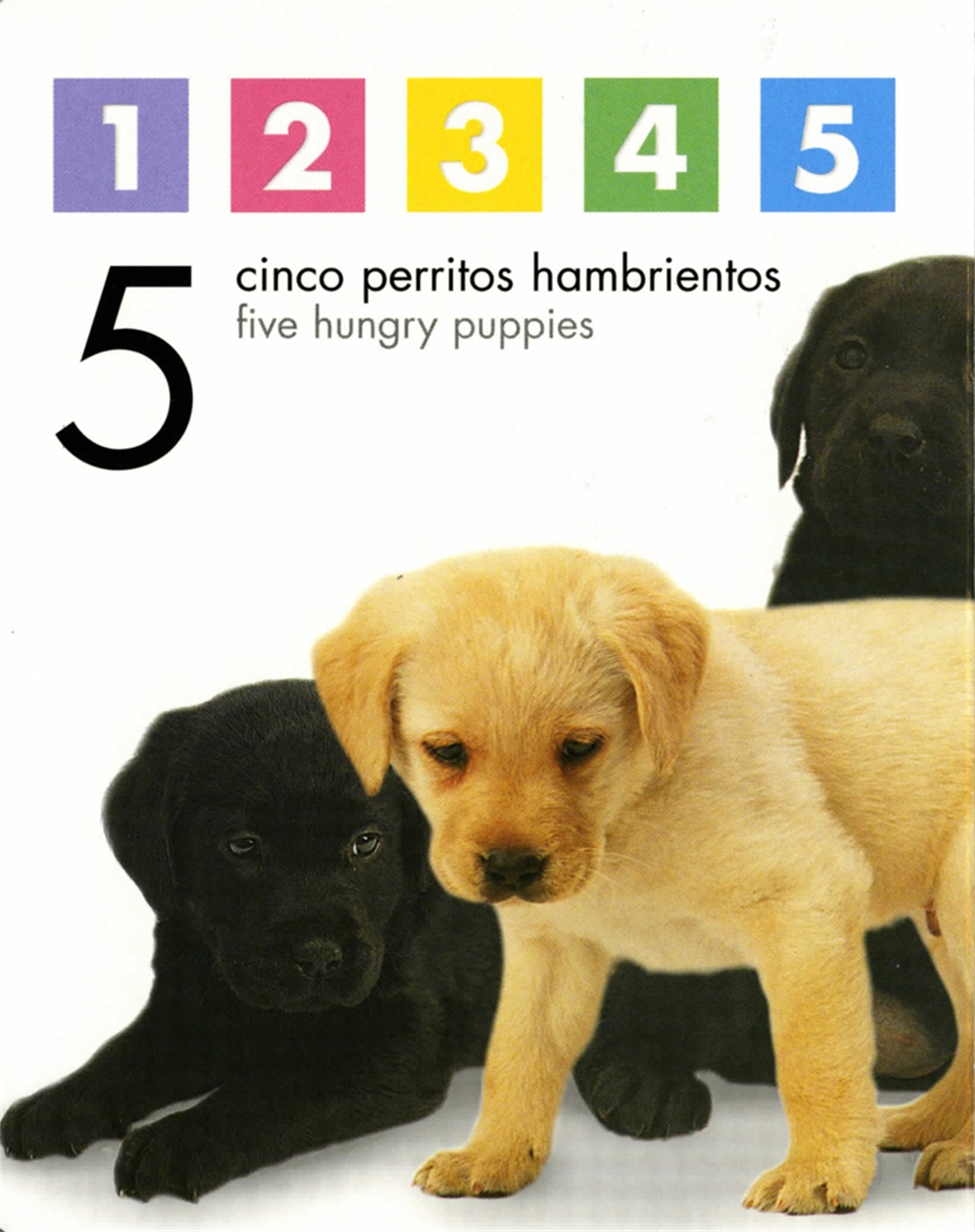 Happy Baby: 123 Bilingual