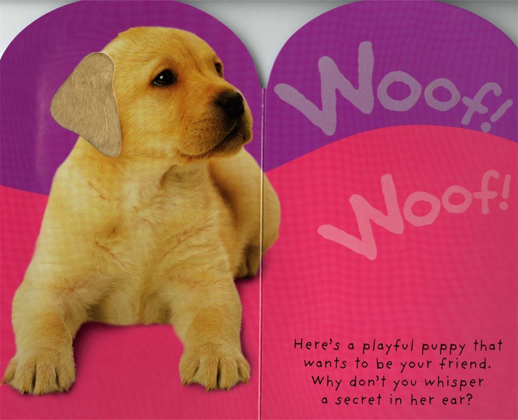 Baby Touch & Feel: Quack! Quack!