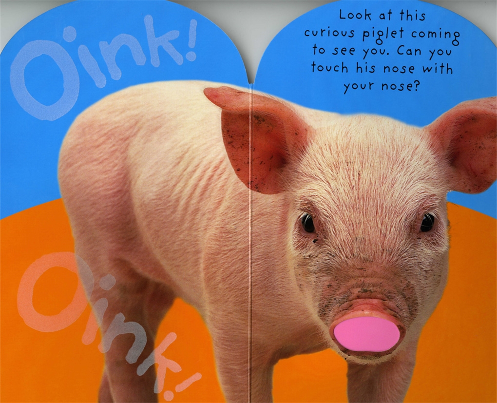 Baby Touch & Feel: Quack! Quack!