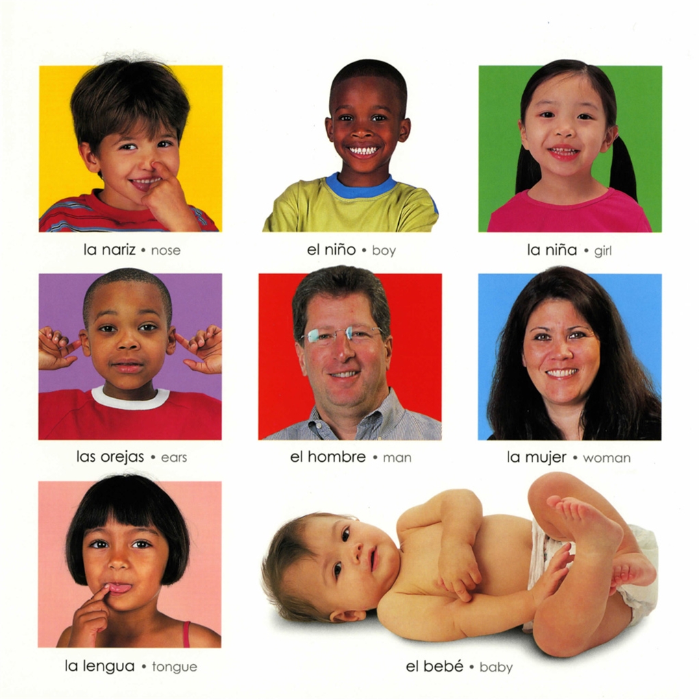 My Little Word Book / Mi libro pequeño de palabras