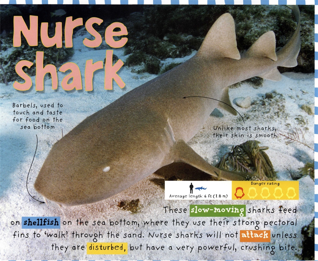 Sharks (Smart Kids)