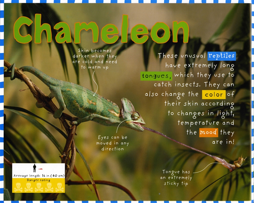 Smart Kids: Reptiles and Amphibians