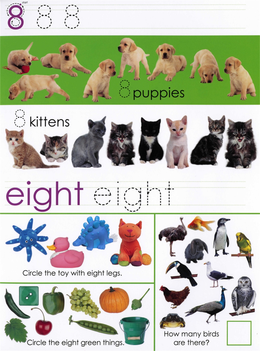 Wipe Clean: Early Learning Activity Book