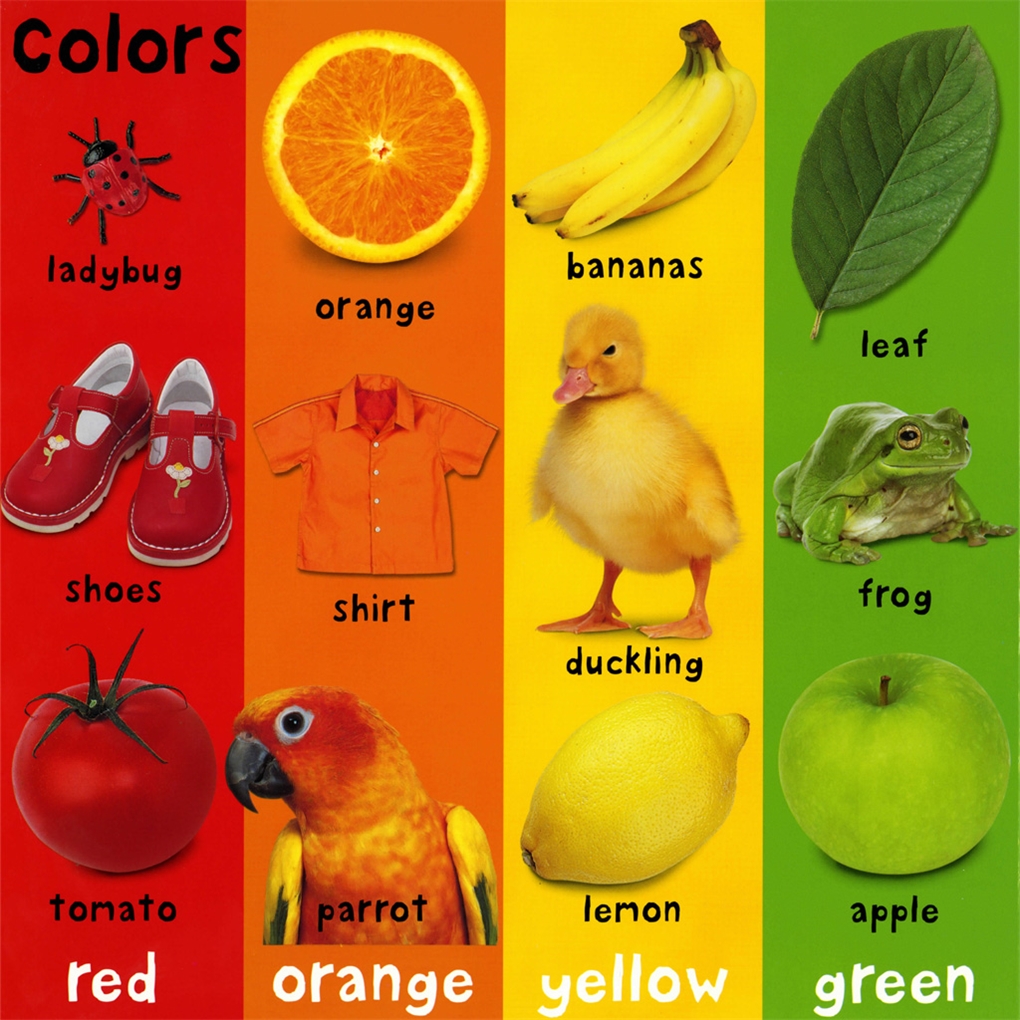 Big Board Books Colors ABC Numbers Roger Priddy Macmillan Big Board Books Colors ABC Numbers Roger Priddy Macmillan