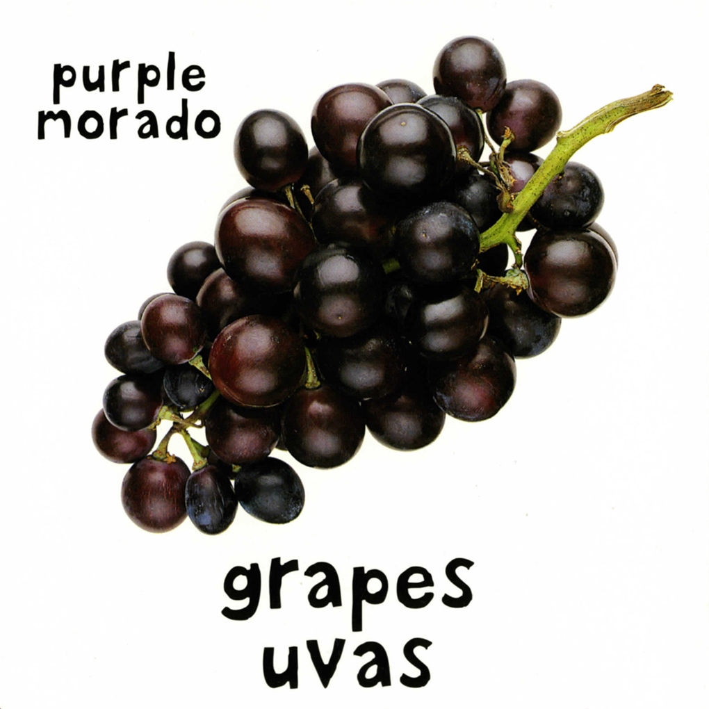 Bilingual Bright Baby: Colors / Colores