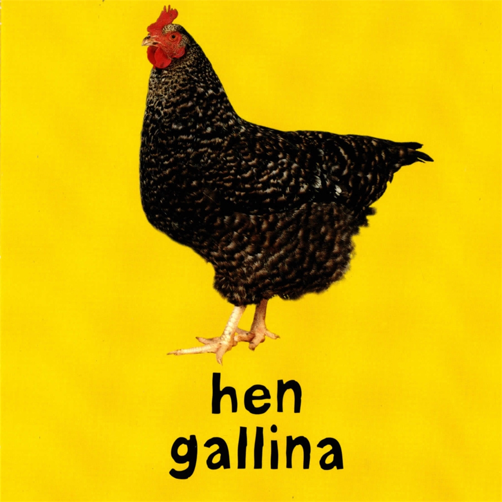 Bilingual Bright Baby Animals