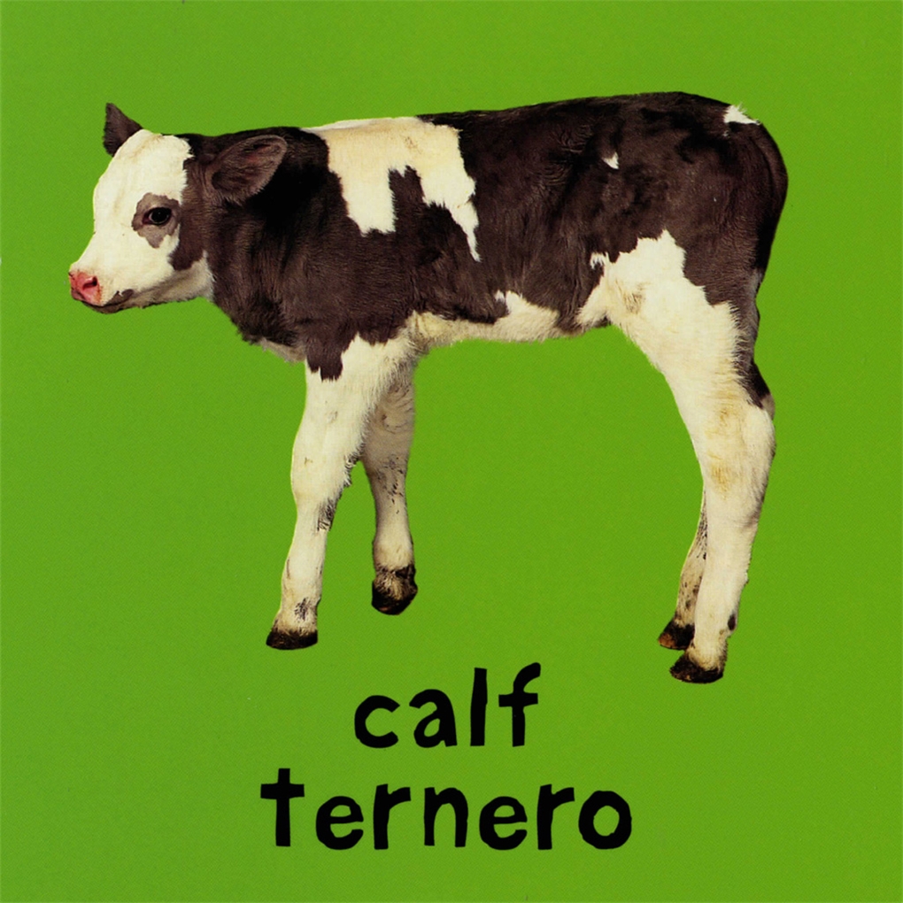 Bilingual Bright Baby Animals