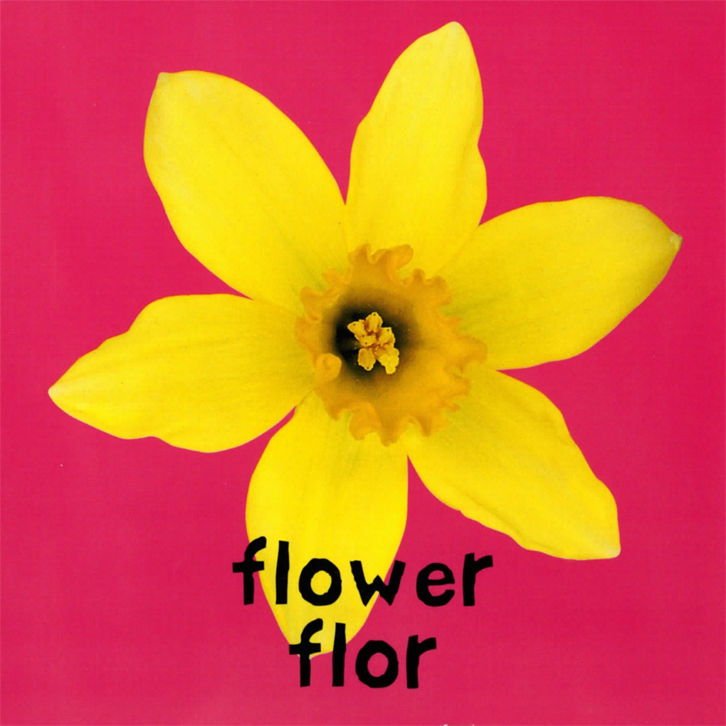 Bilingual Bright Baby First Words / Primeras palabras