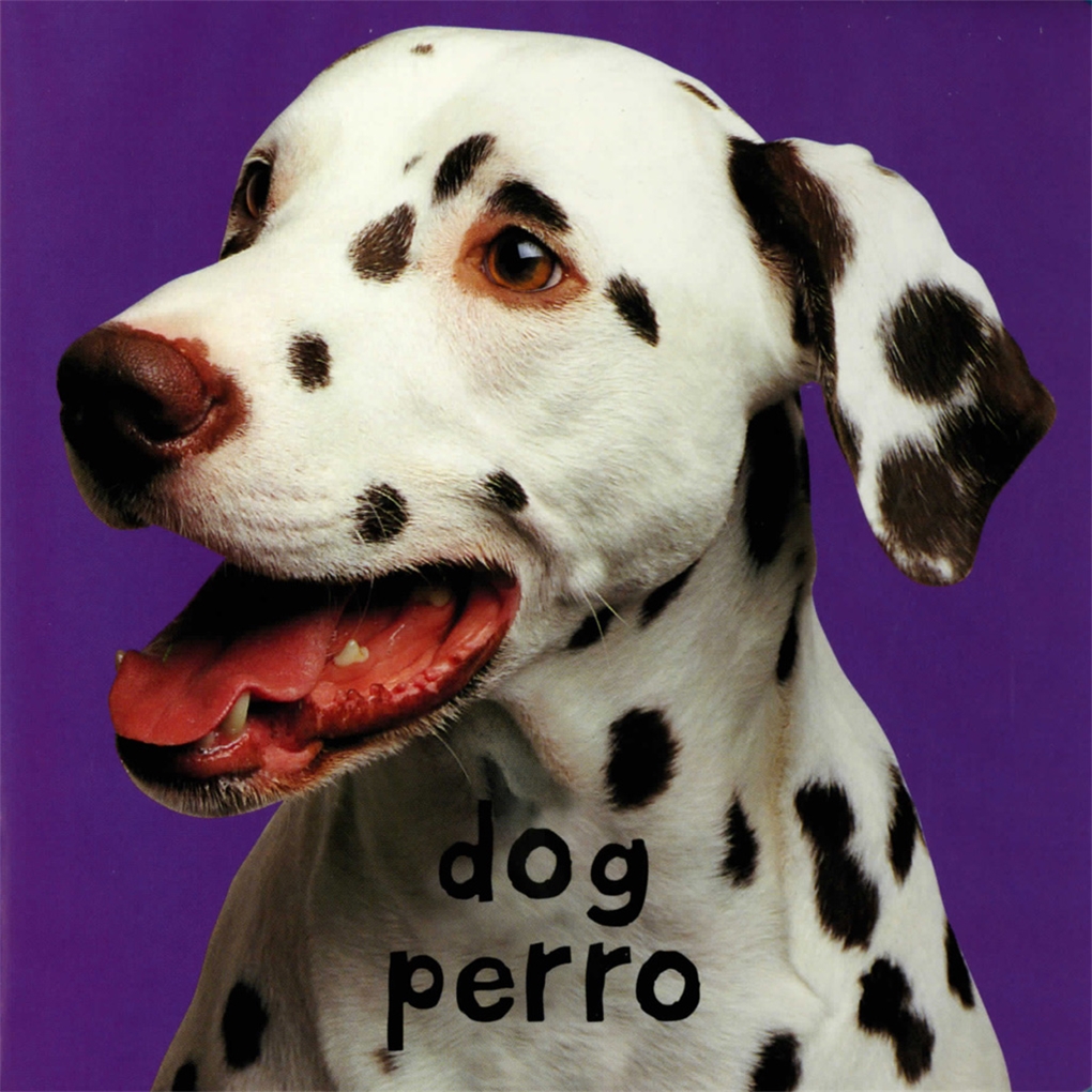 Bilingual Bright Baby First Words / Primeras palabras