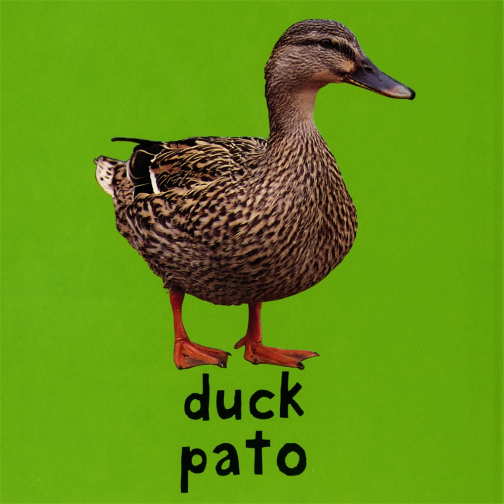 Bilingual Bright Baby First Words / Primeras palabras