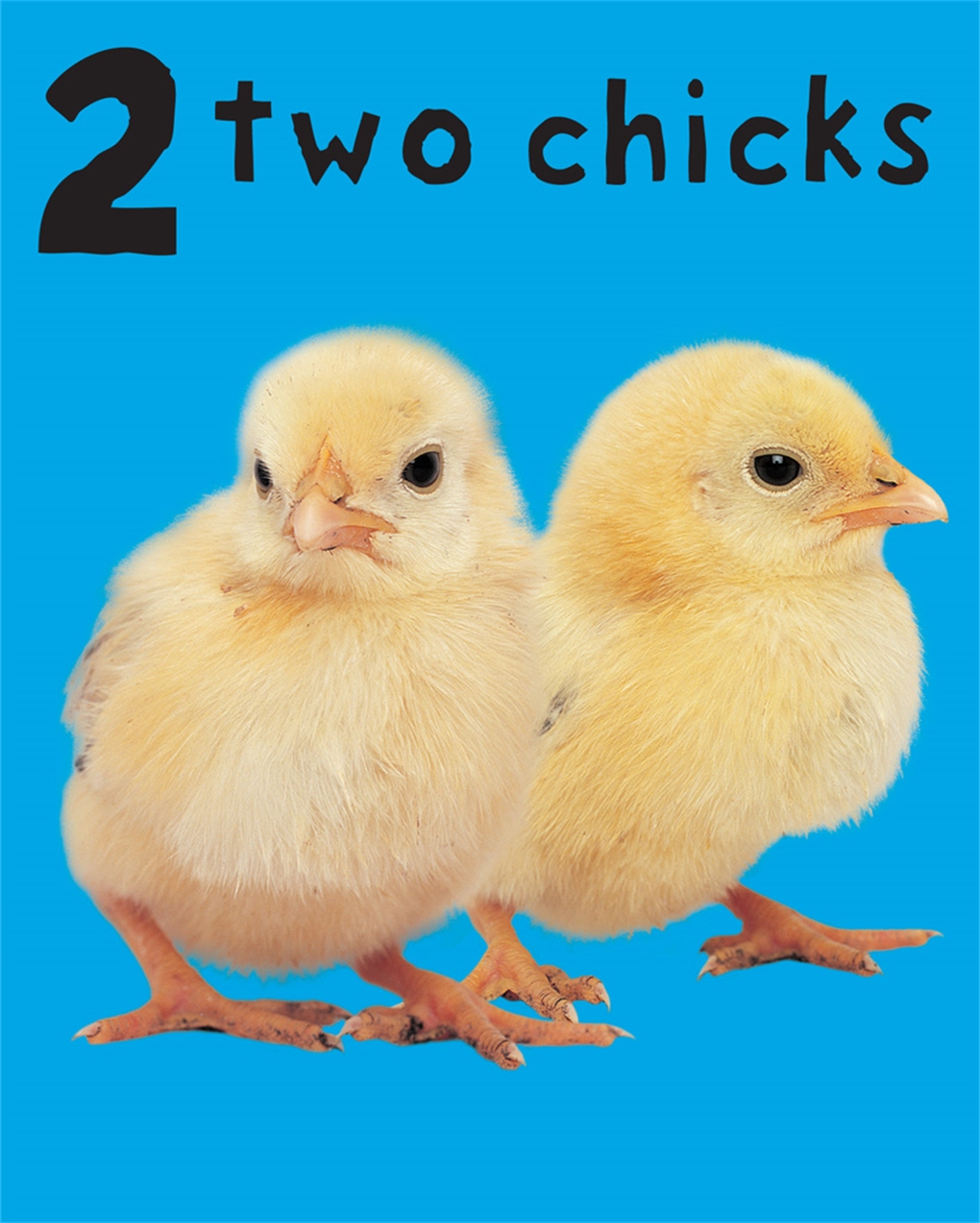 Bright Baby Touch & Feel Numbers