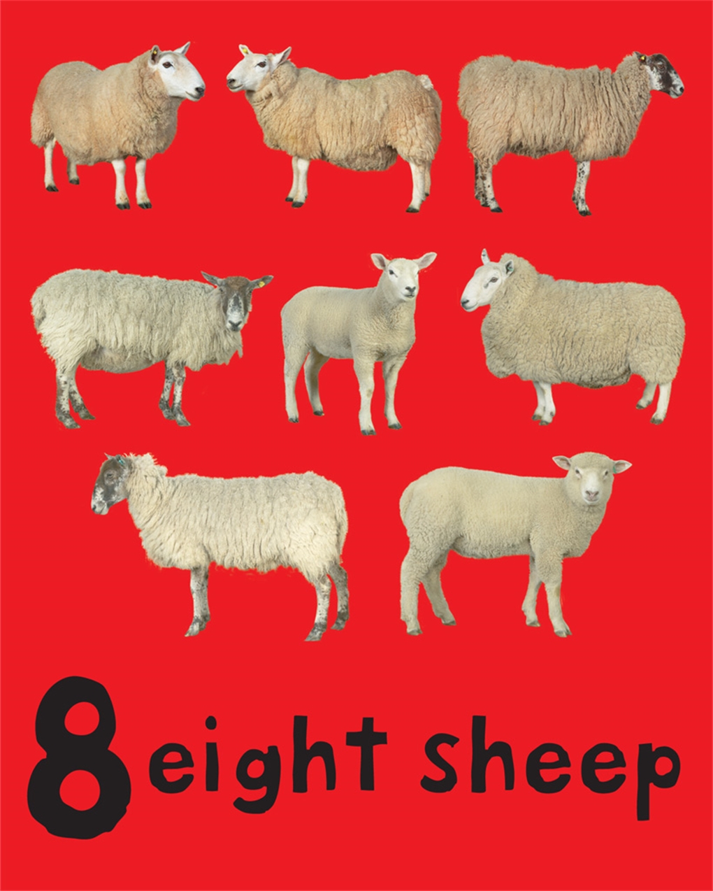 Bright Baby Touch & Feel Numbers