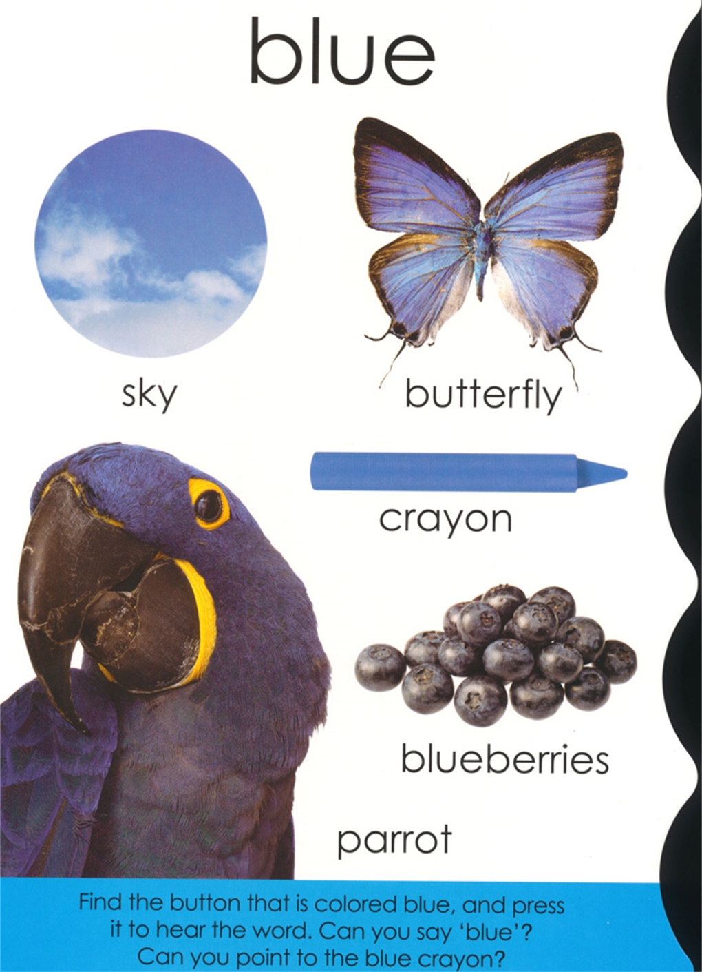 Simple First Words Let's Say Our Colors