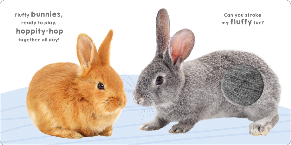 Bunny and Friends Touch and Feel