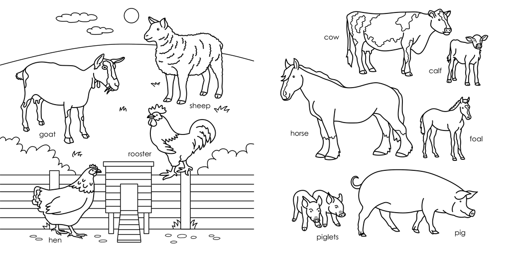 Sticker Activity Animals