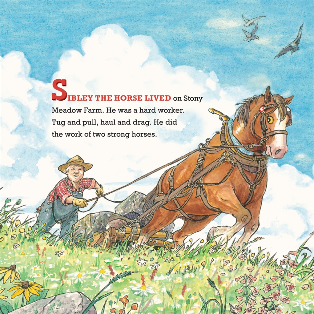 Tractor Mac Arrives at the Farm