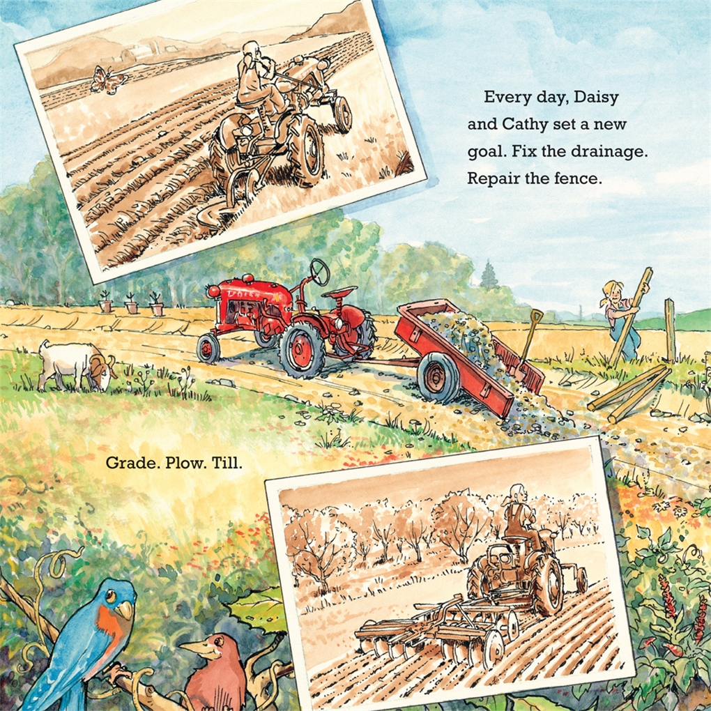 Tractor Mac New Friend