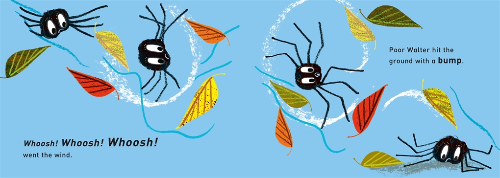 Walter's Wonderful Web