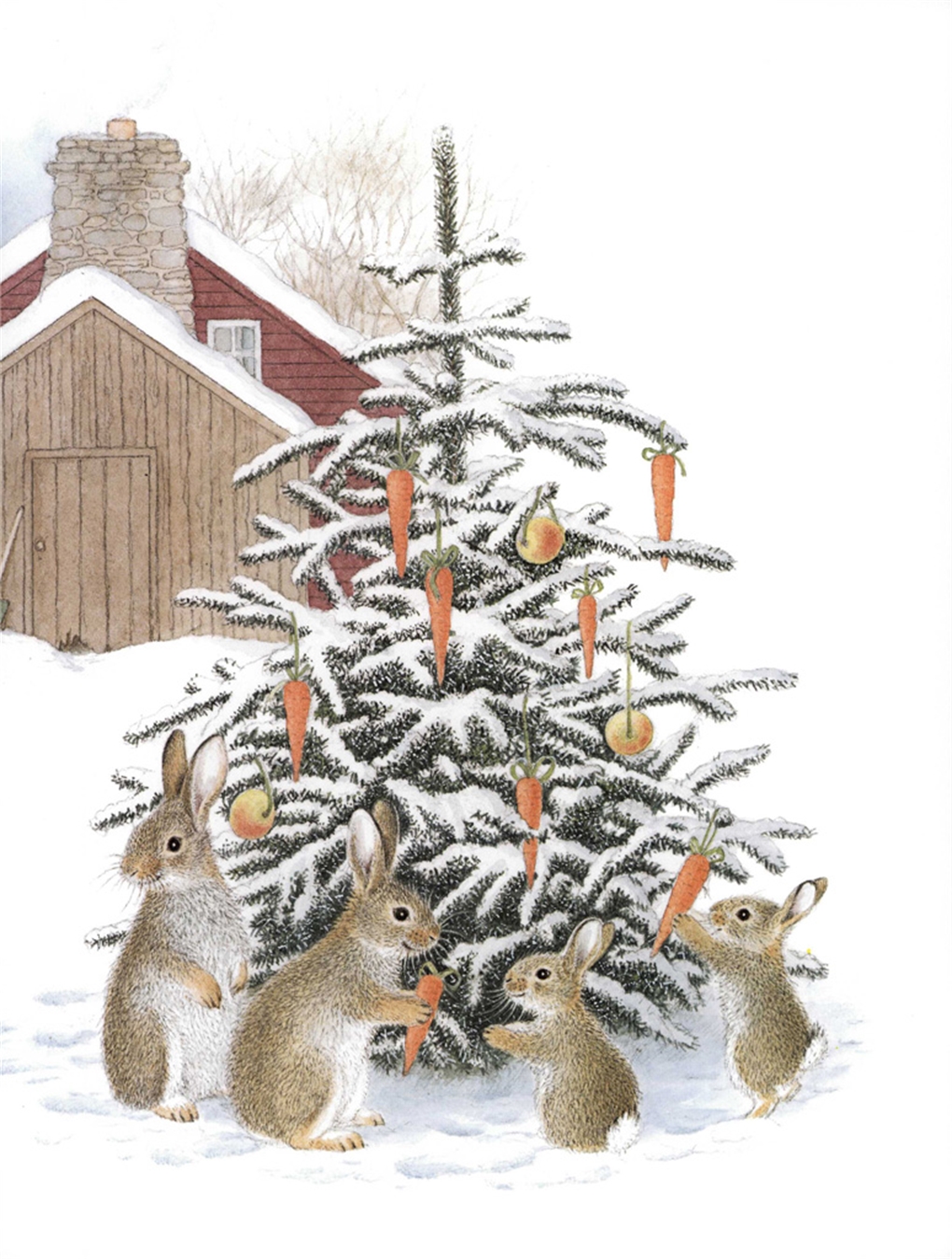 Do Rabbits Have Christmas?