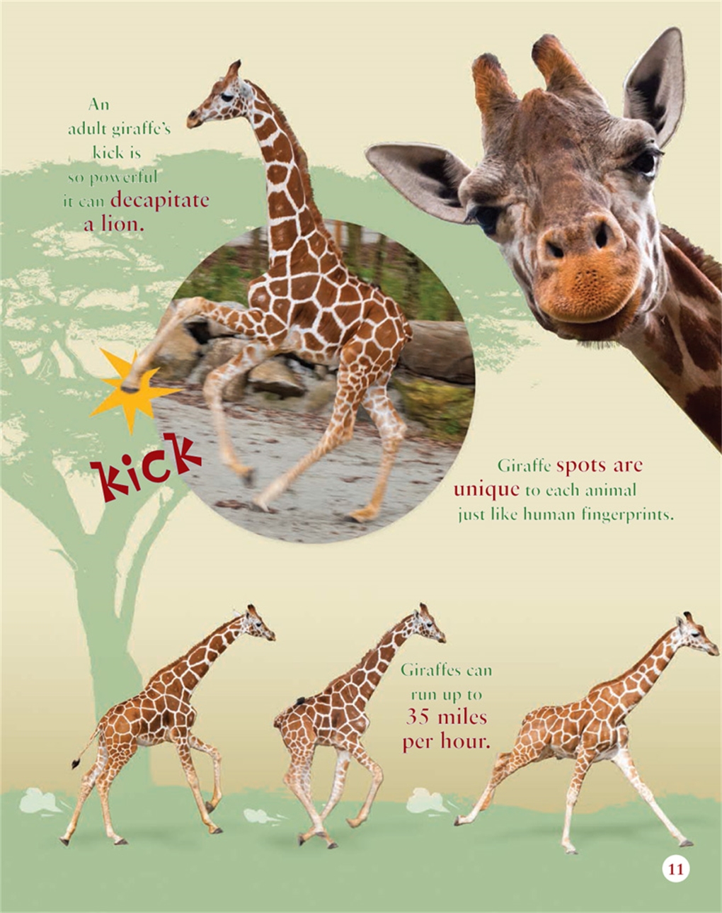 Weird & Wild Animal Facts