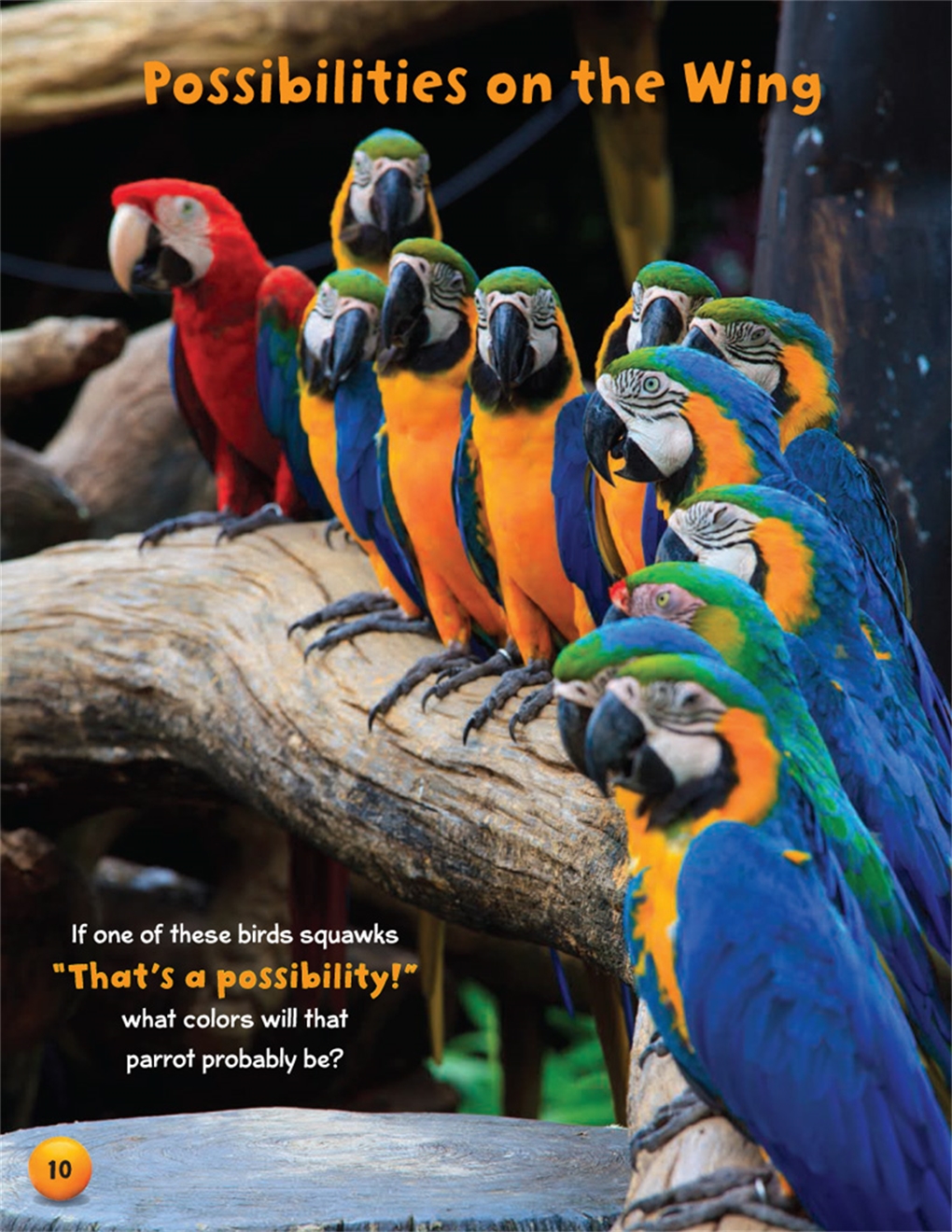 That's a Possibility!