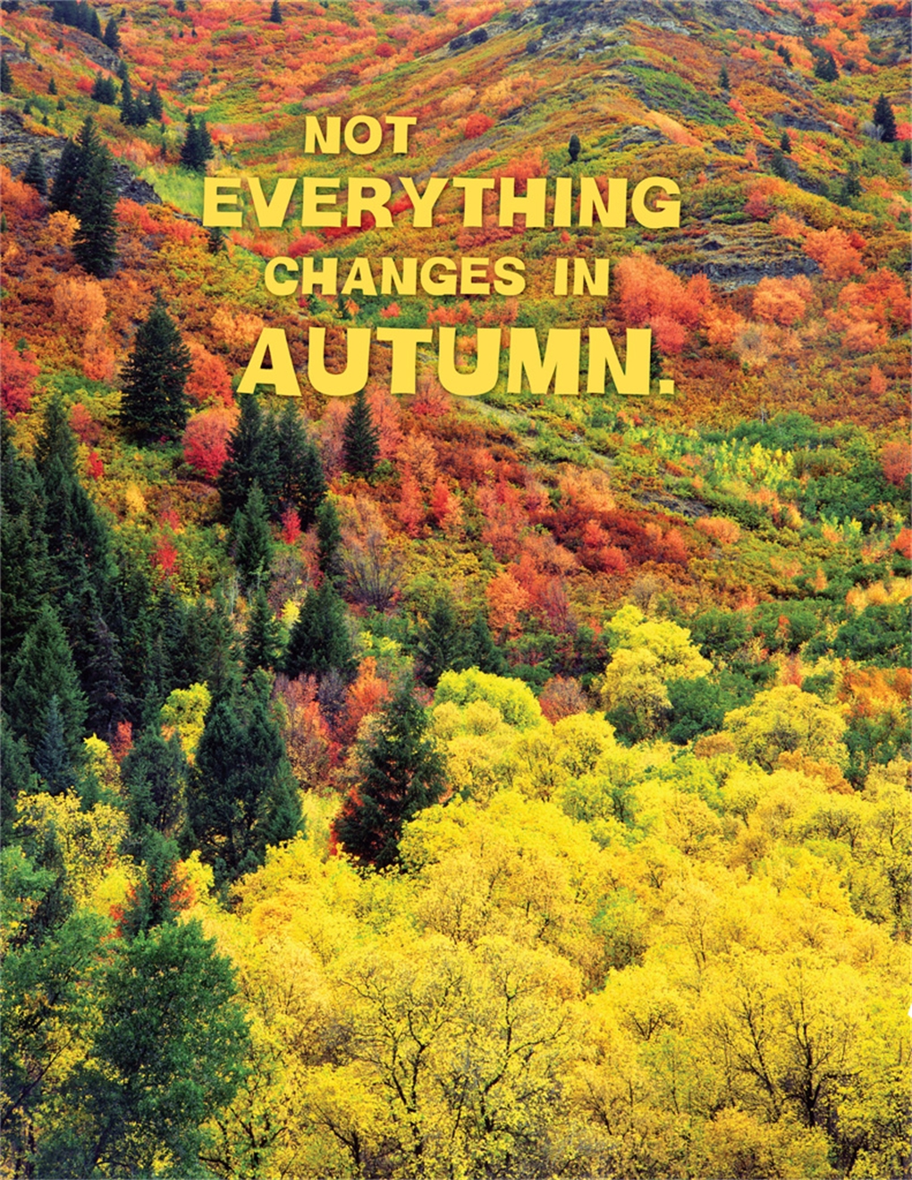 Awesome Autumn