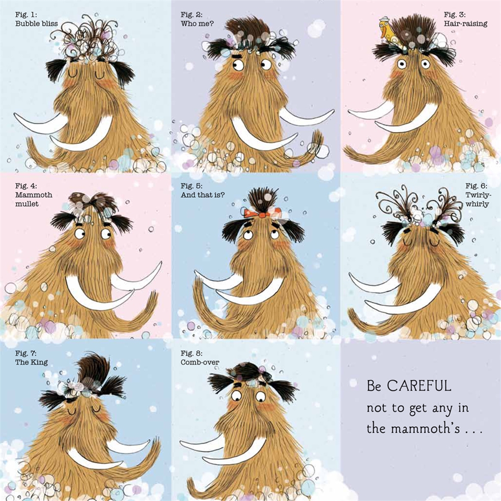 How to Wash a Woolly Mammoth