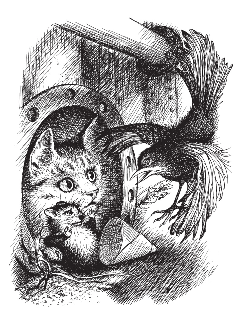 Tucker's Countryside