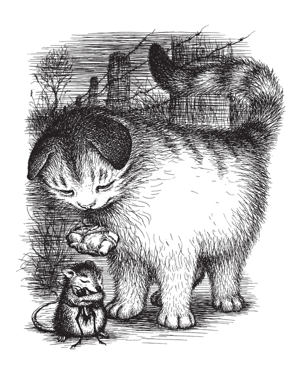 Tucker's Countryside