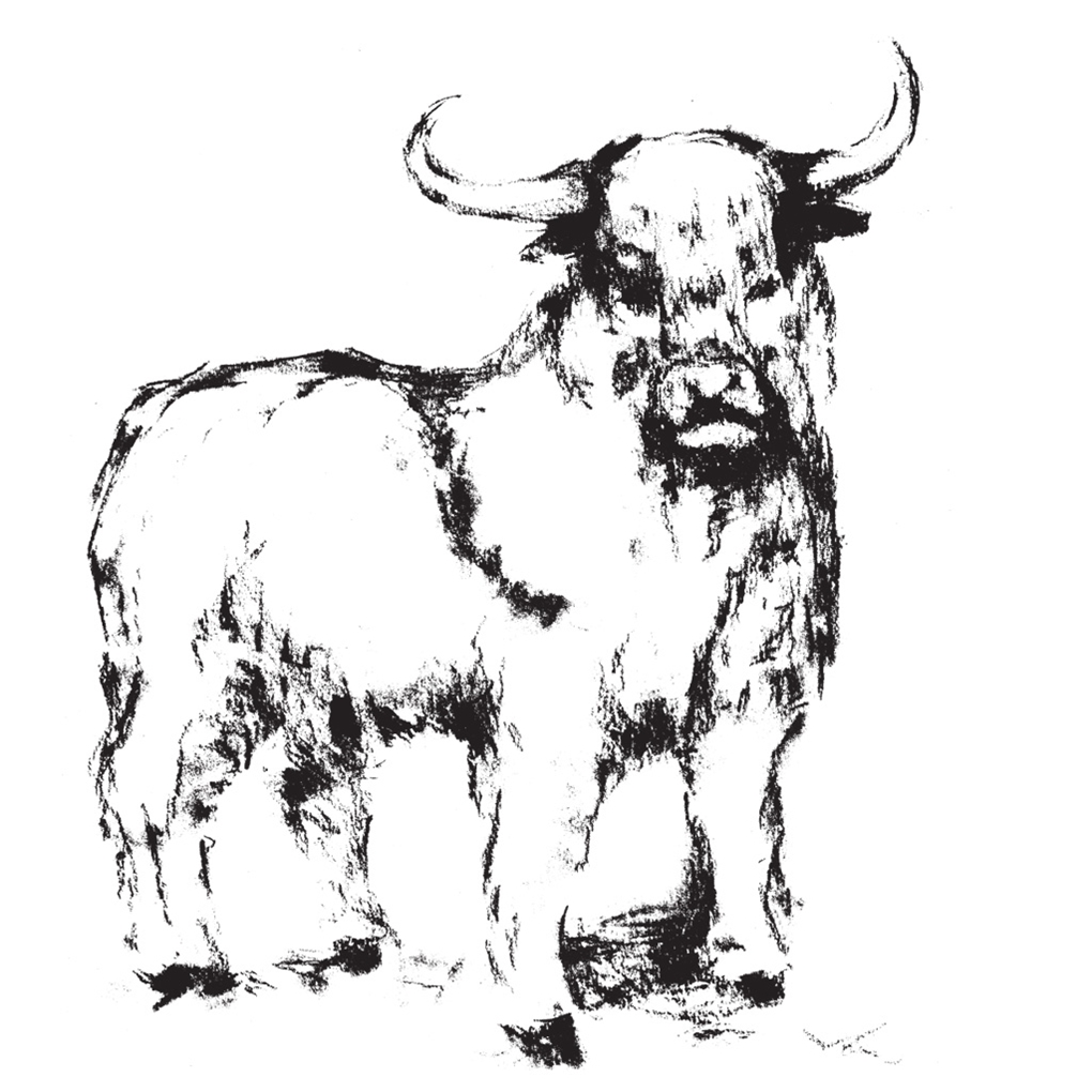 All My Patients Kick and Bite