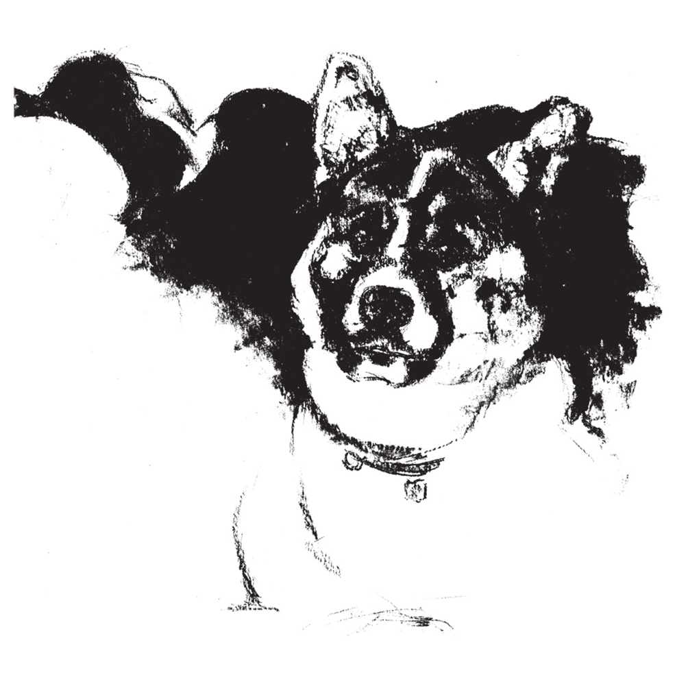 All My Patients Kick and Bite