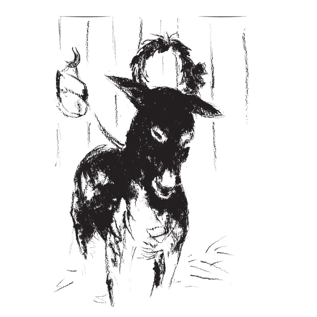 All My Patients Kick and Bite