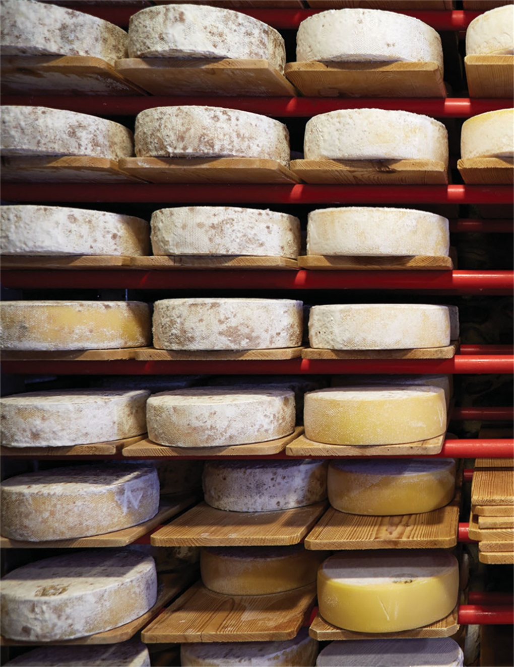 The Book of Cheese