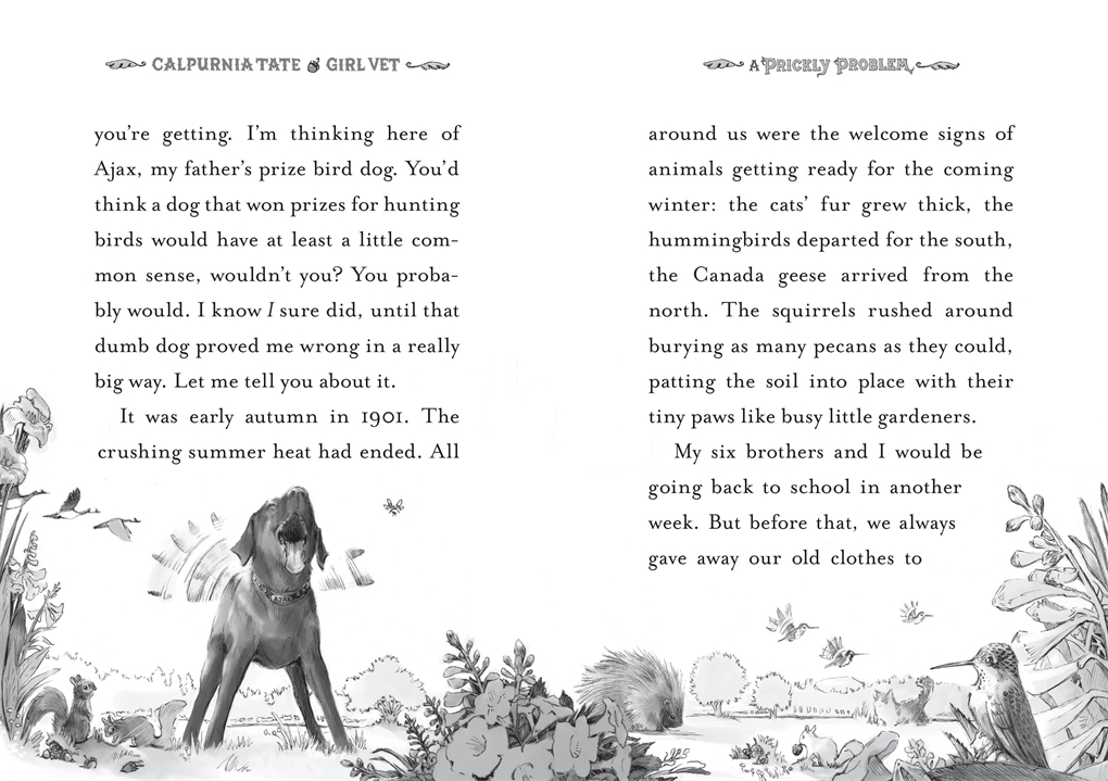 A Prickly Problem: Calpurnia Tate, Girl Vet