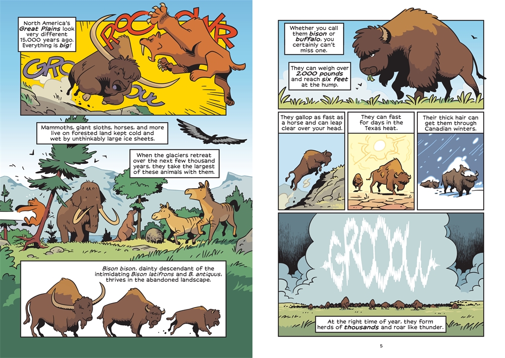 History Comics: The American Bison