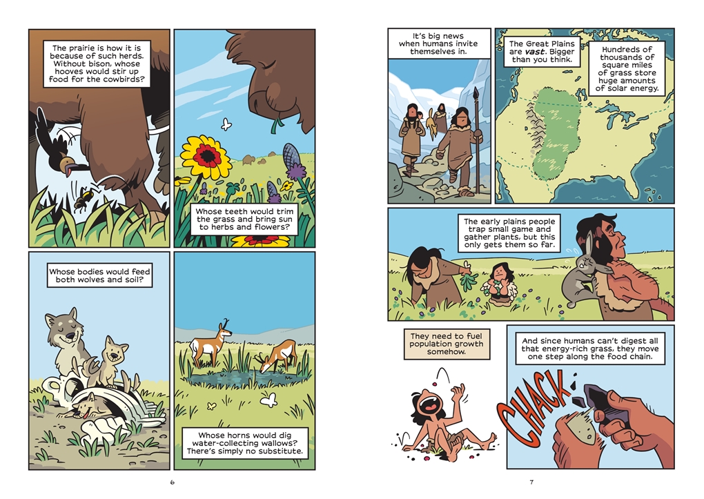 History Comics: The American Bison