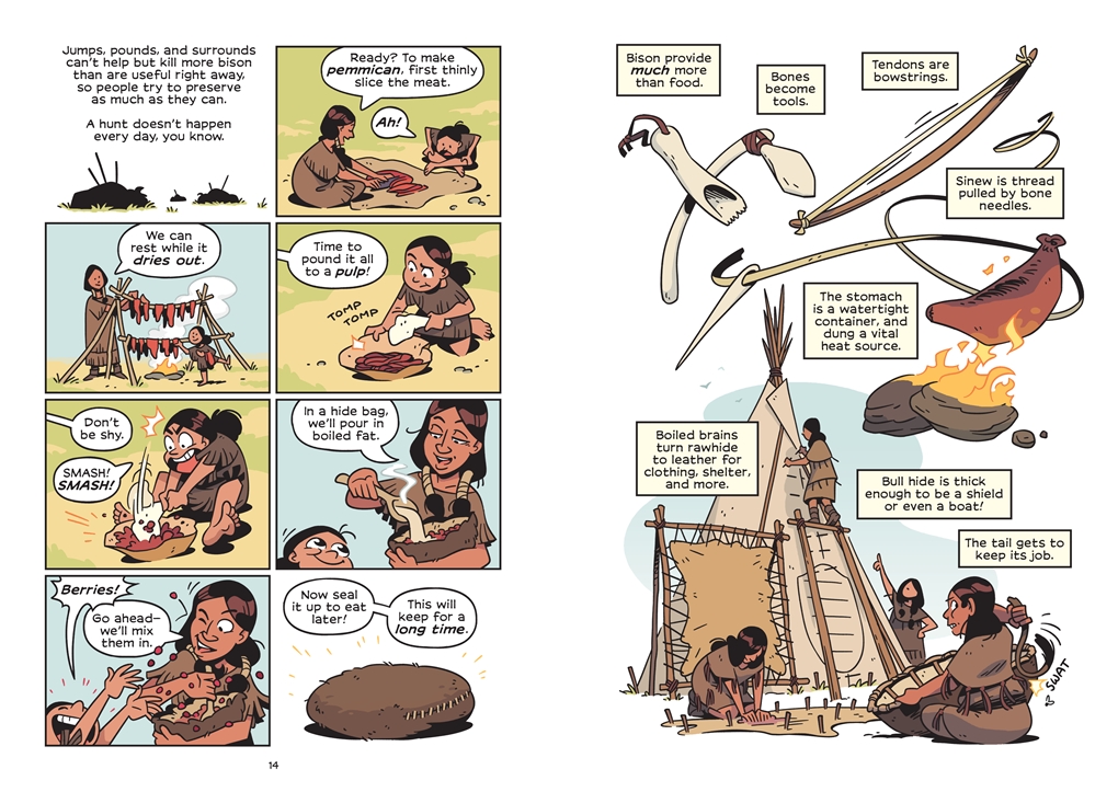 History Comics: The American Bison