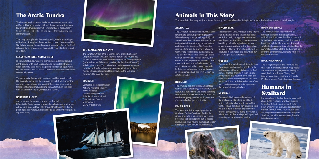 Arctic Adventure: A Tundra Tale