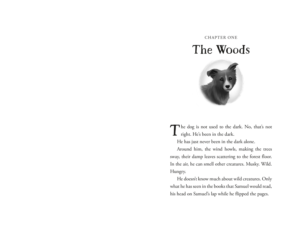 The Unlikely Tale of Chase and Finnegan