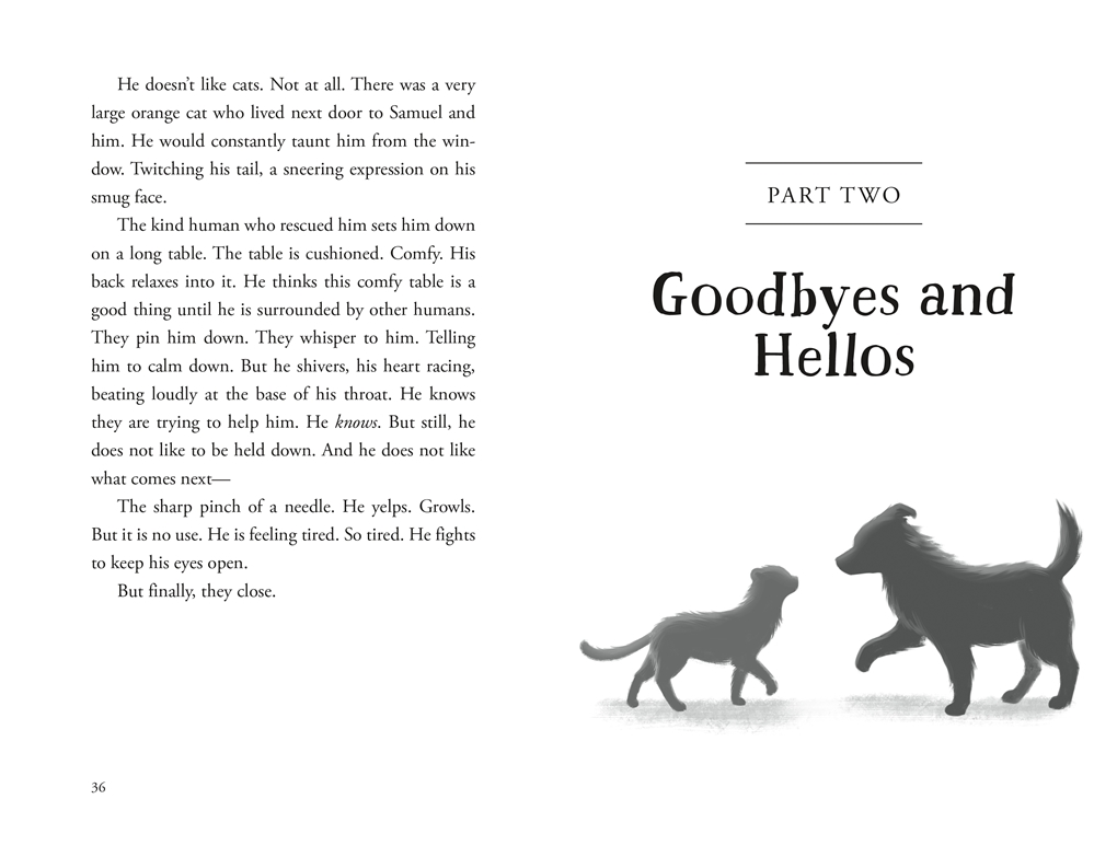 The Unlikely Tale of Chase and Finnegan