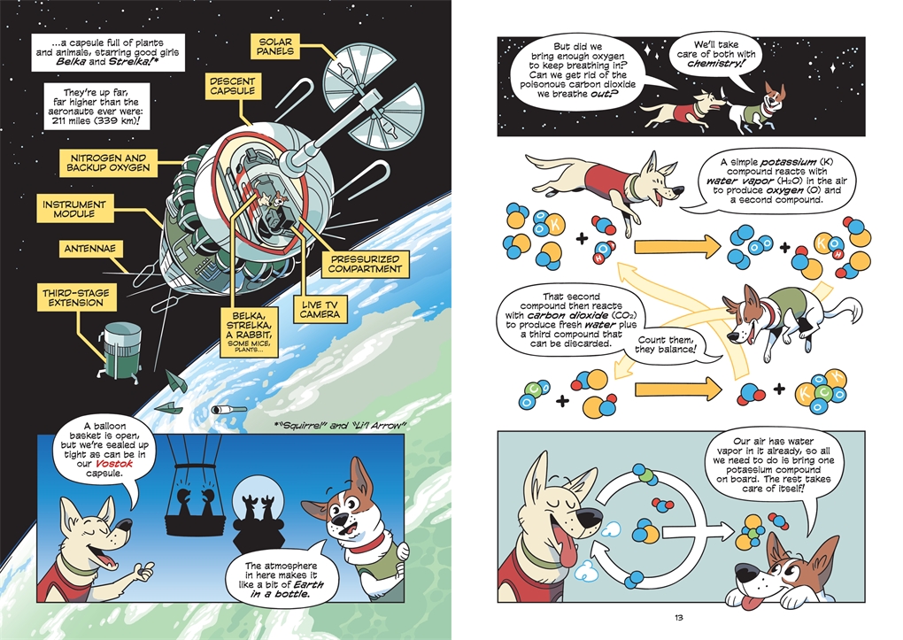 Science Comics: Human Spaceflight