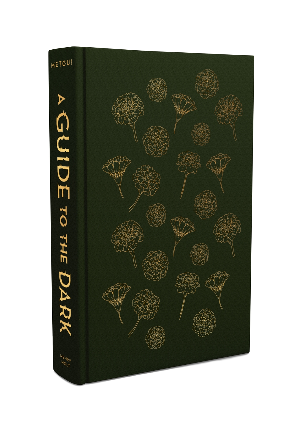 A Guide to the Dark