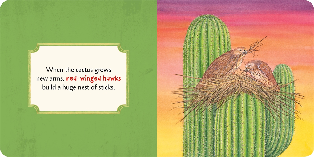 Welcome to the Cactus Hotel