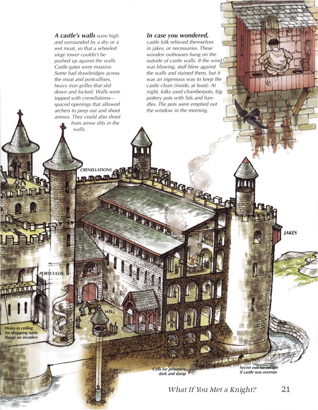 What If You Met a Knight?