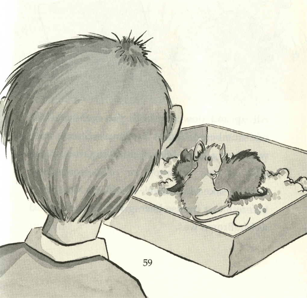 The Mouse Family Robinson