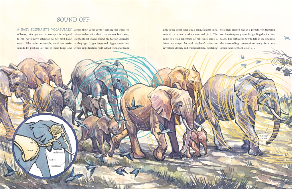 How to Be an Elephant
