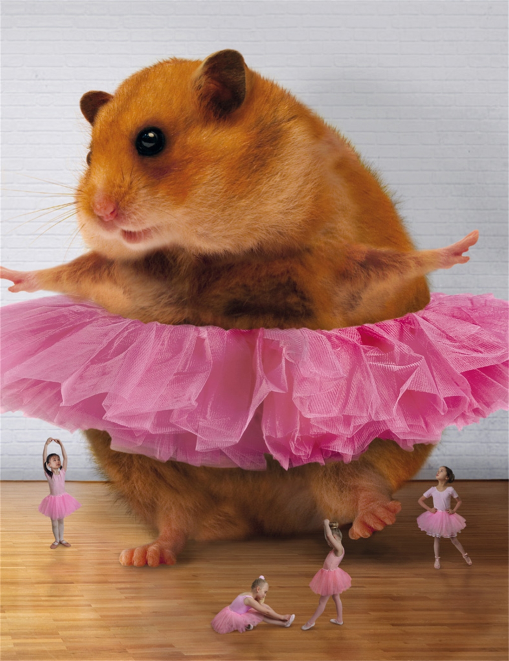 My Humongous Hamster Goes to School